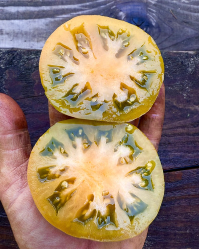 Dwarf Parfait - Heirloom Tomato Seeds | carmel-bella-farm