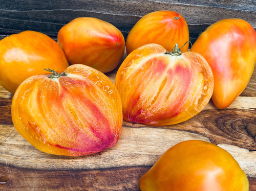 Midnight Sun Tomato Seeds For Sale | Carmel Bella Farm