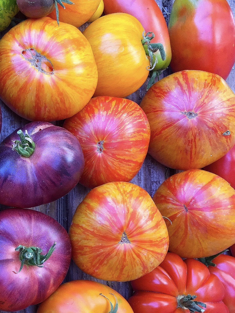 Craft Supplies & Tools Floral & Garden Crafts Solar Flare Tomato etna ...