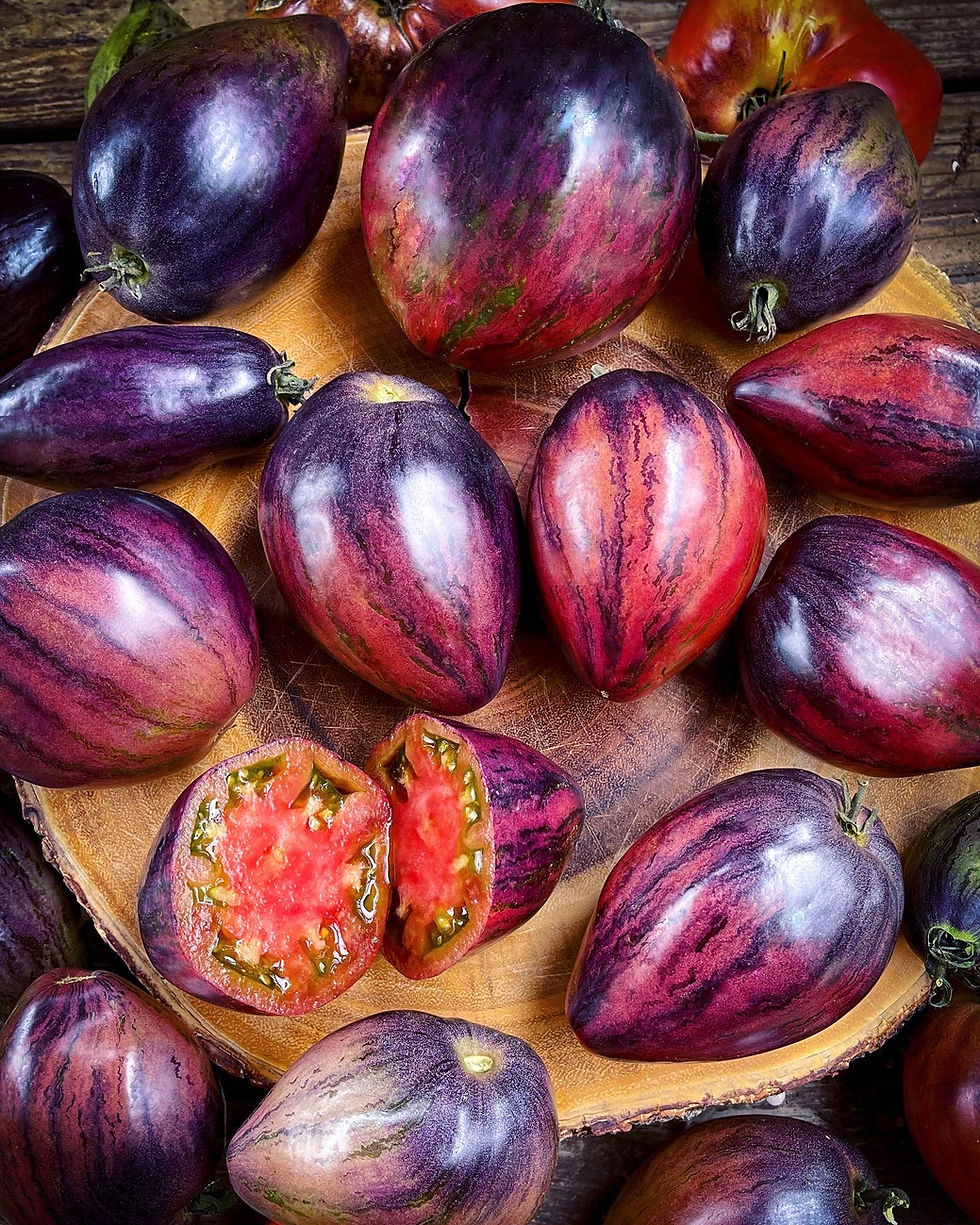 Carmel Bella Farm