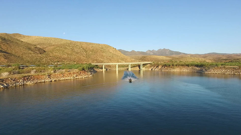 Fishing Arizona | Phoenix Fishing Guides