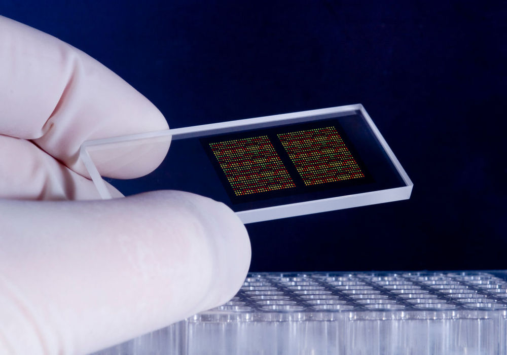 DNA Chips