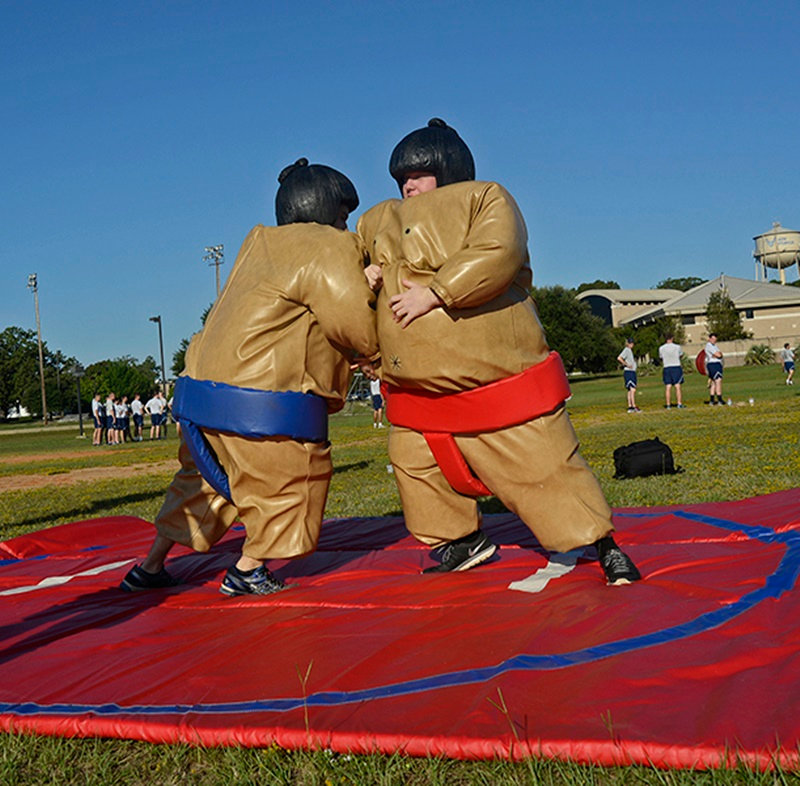 LE COMBAT DE SUMOS | Ton animation