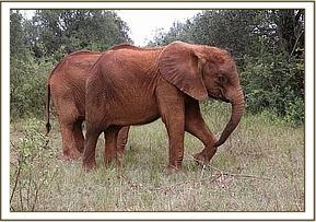 Jenny Carless | Travel & Lifestyle