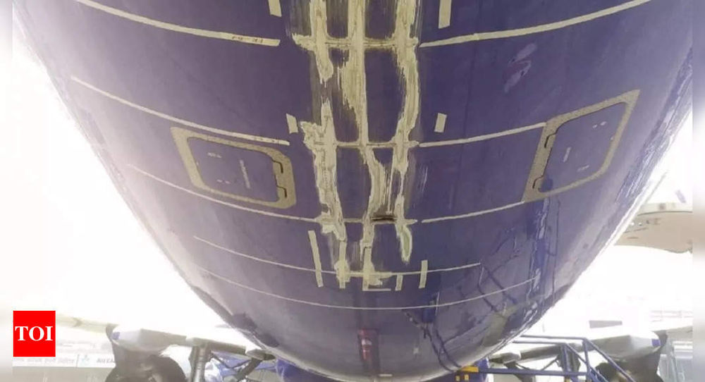 IndiGo Airways A321 Suffers Tail Strike During Landing