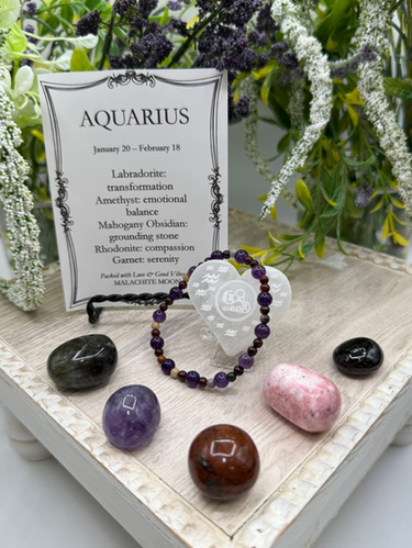 Zodiac Party Pack | Bee Charmer Tarot