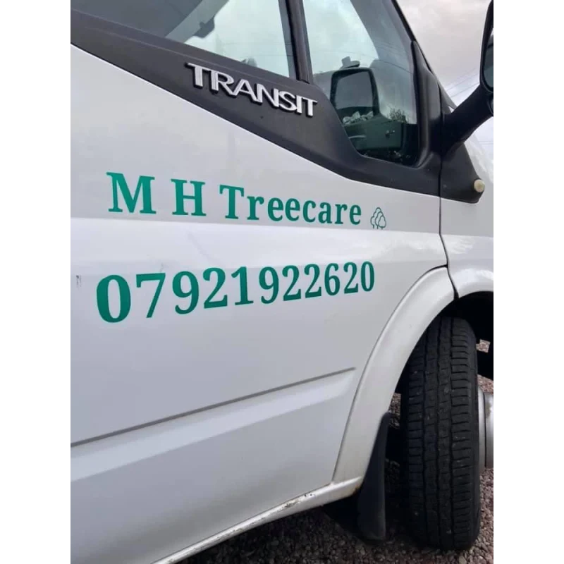 Arborist Services | Congleton | MH Treecare