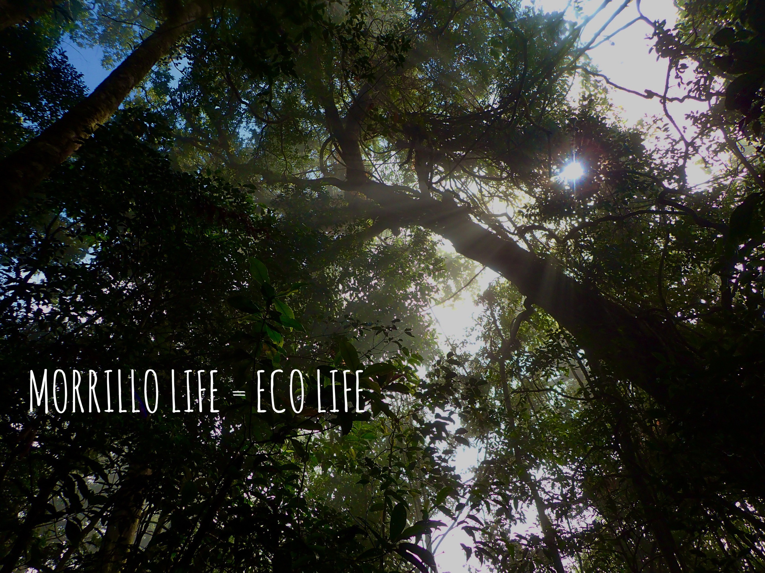 Morrillo Beach Eco Resort | Eco Life