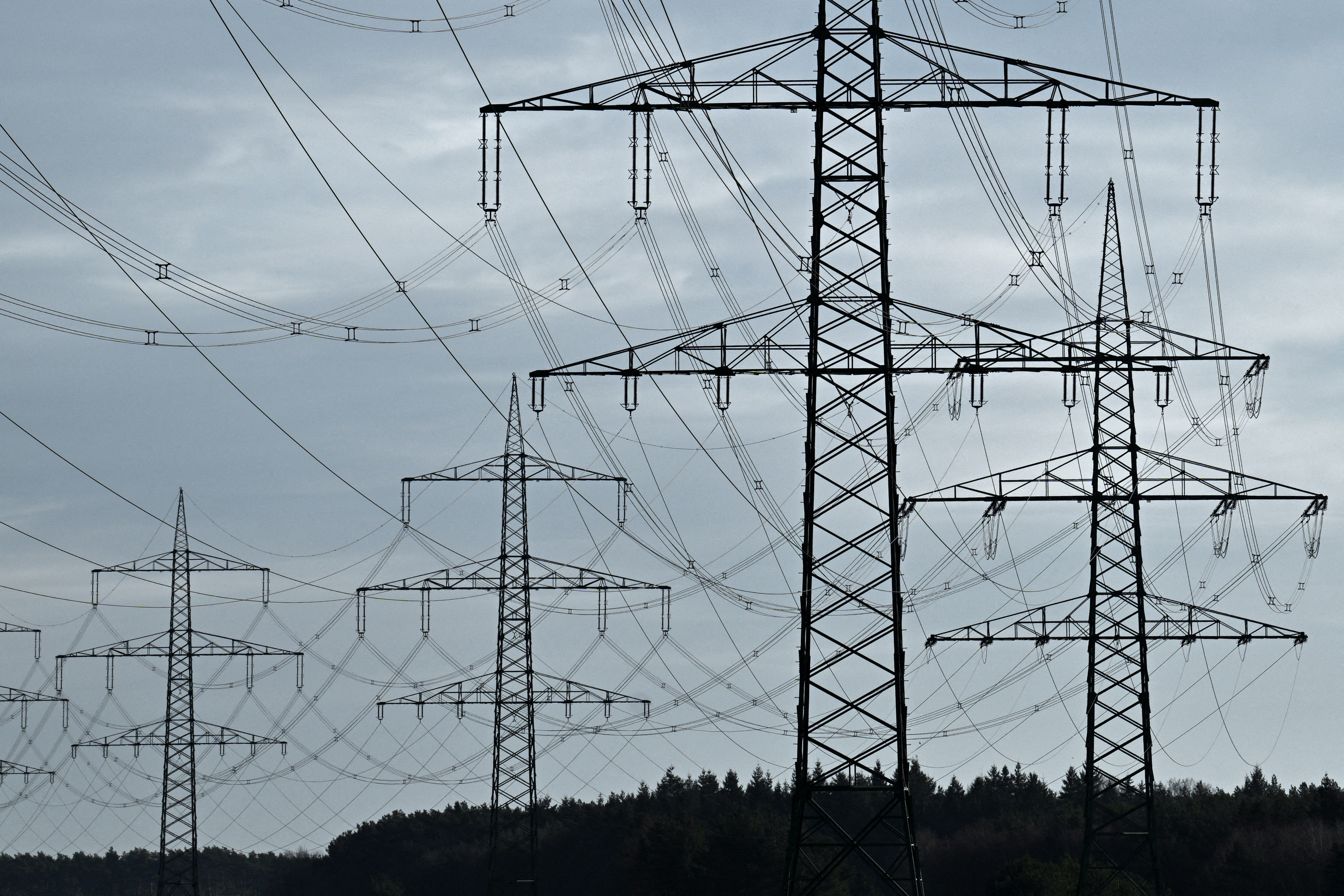 FACTBOX: Governments worldwide shield households from rising energy ...