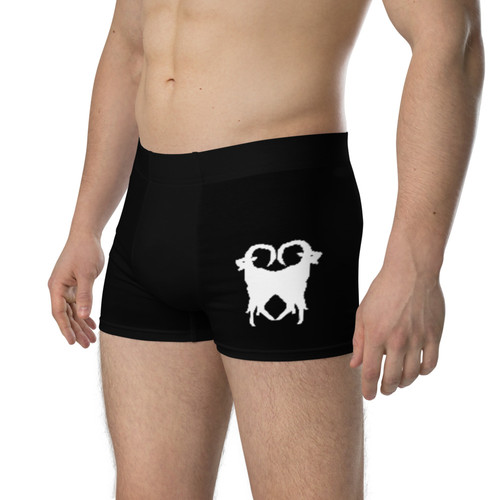Gordon Gartrelle Double Ram Boxer Briefs | GORDONGARTRELLE