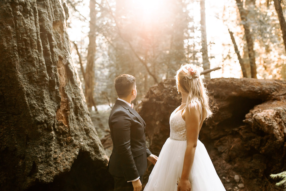Big Sur Elopement | Megan & Claire