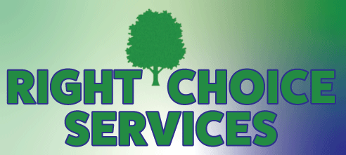 Wholesaler | Right Choice Services Group Inc | United States