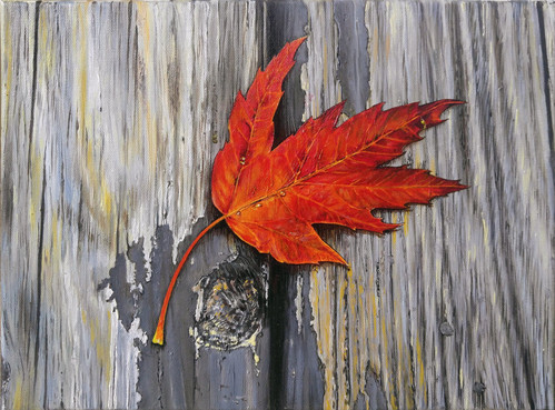 All Products | Daniel Beach Gallery
