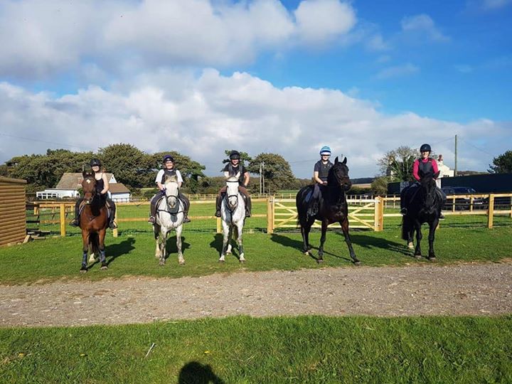 Horse Riding | Owl House Stables | Dover
