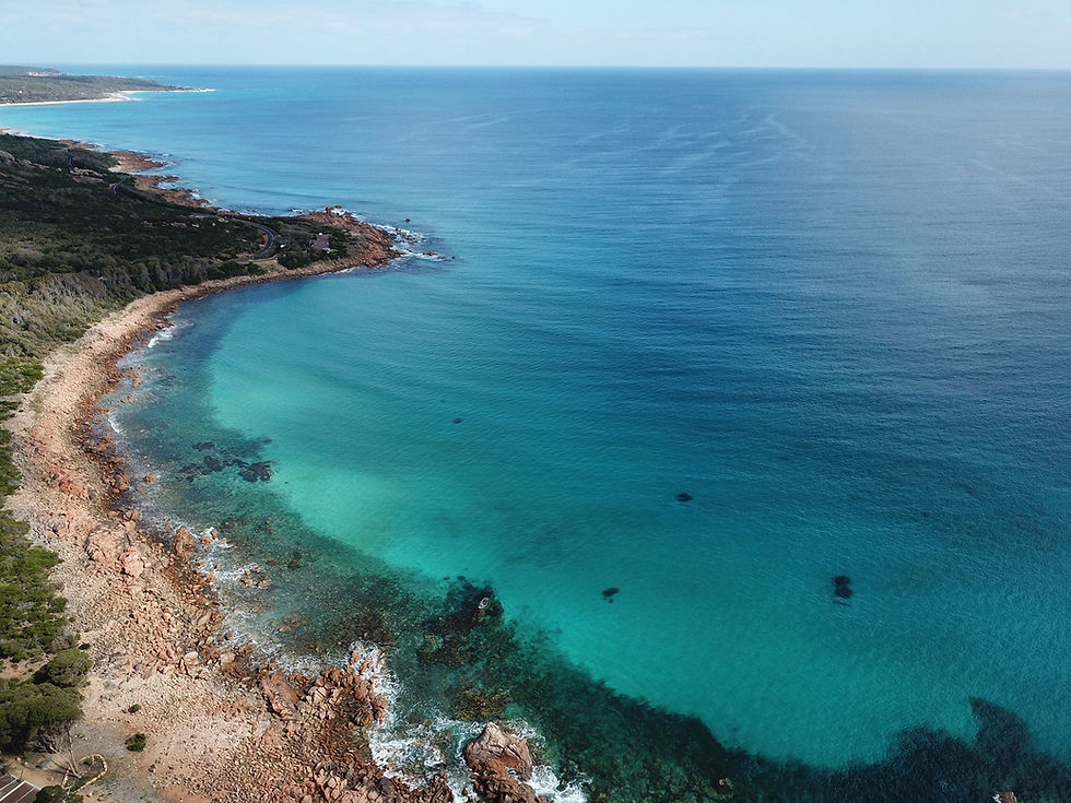 Events | MIM Network