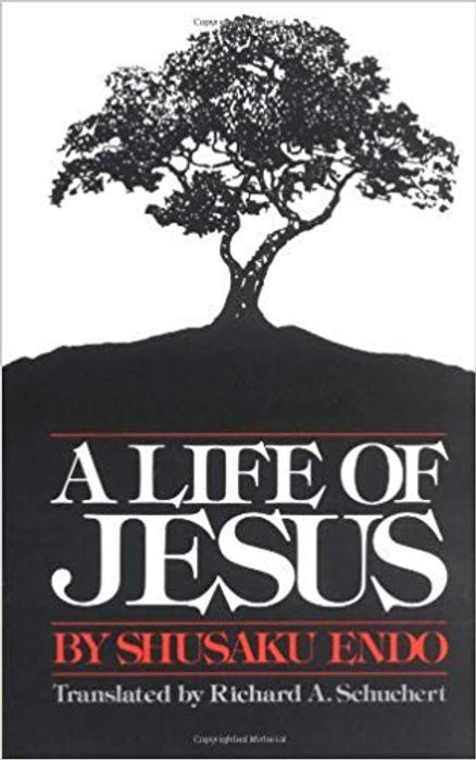 Book Review: A Life of Jesus