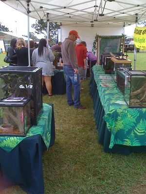 Wildlife Displays | feature-creatures