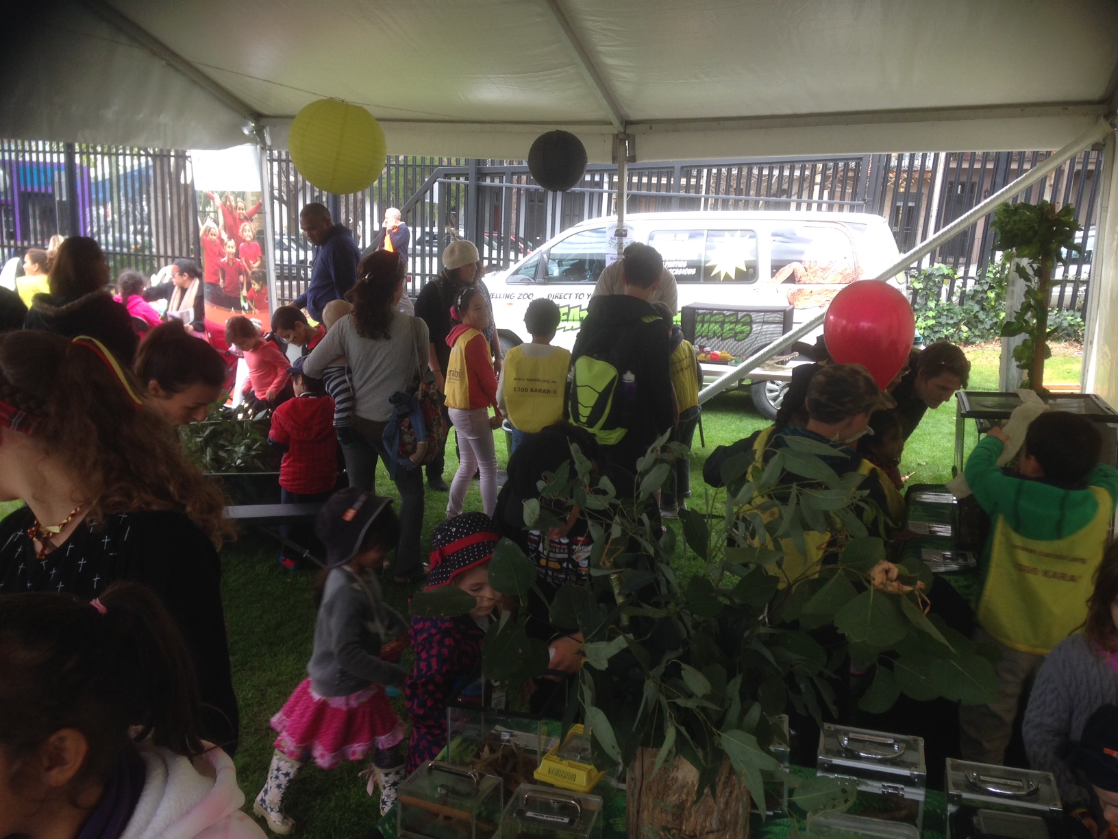 Wildlife Displays | feature-creatures