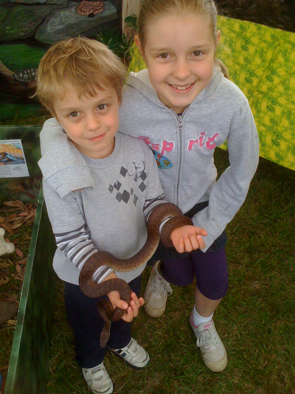 Wildlife Displays | feature-creatures