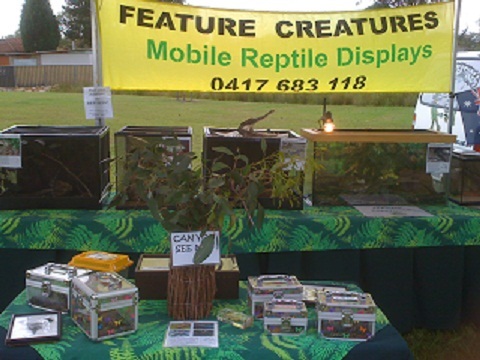 Wildlife Displays | feature-creatures