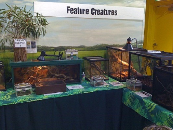 Wildlife Displays | feature-creatures