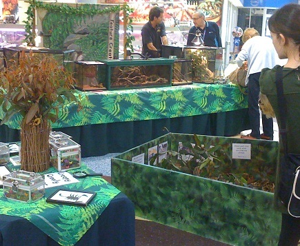 Wildlife Displays | feature-creatures