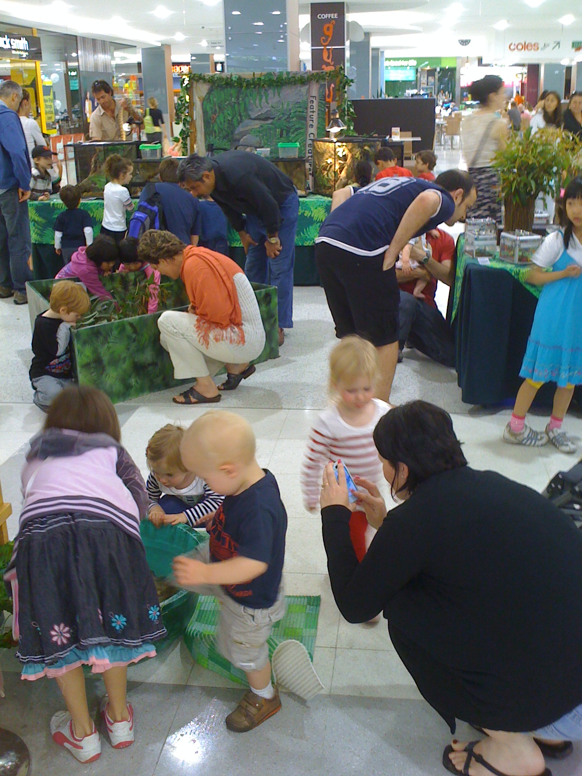 Wildlife Displays | feature-creatures