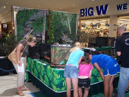 Wildlife Displays | feature-creatures