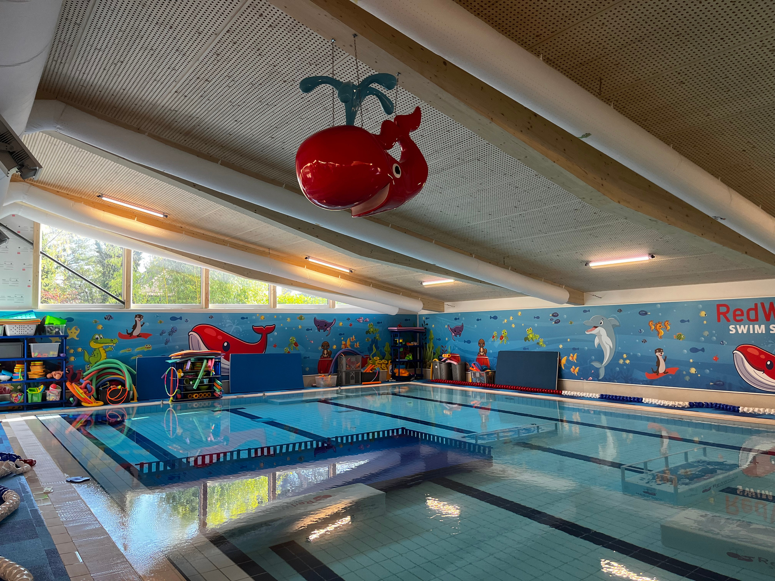 Red Whale Swim School – Terms & Conditions | Bellevue & Eaux-Vives