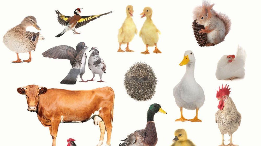 16 Fun Online Games for Adults & Youth