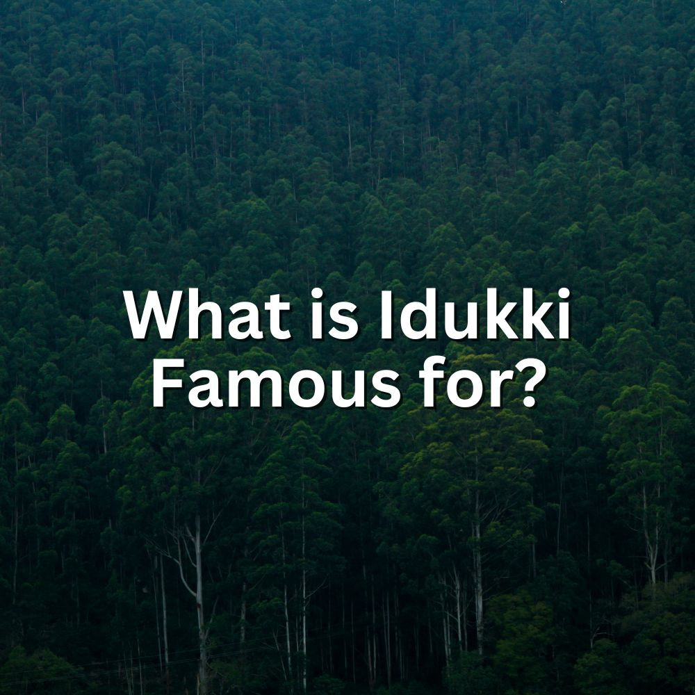 What is Idukki Famous for? (Detailed Explanation)