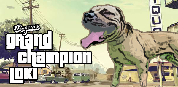 Gamedog history | GR. CH. LOKI's DEN LOKI 5xW