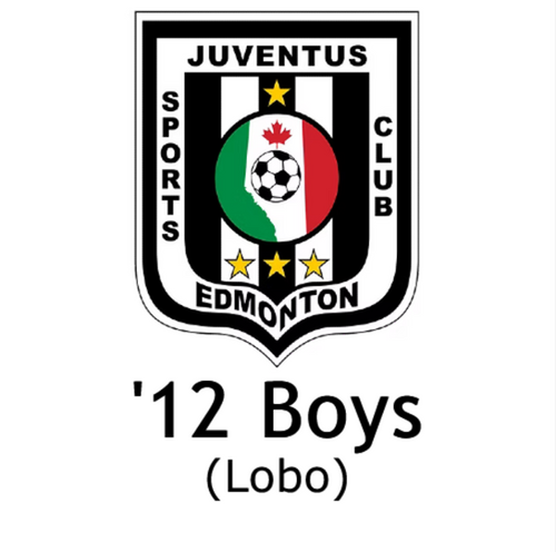 12 Boys (Lobo) | Juventussoccerclub