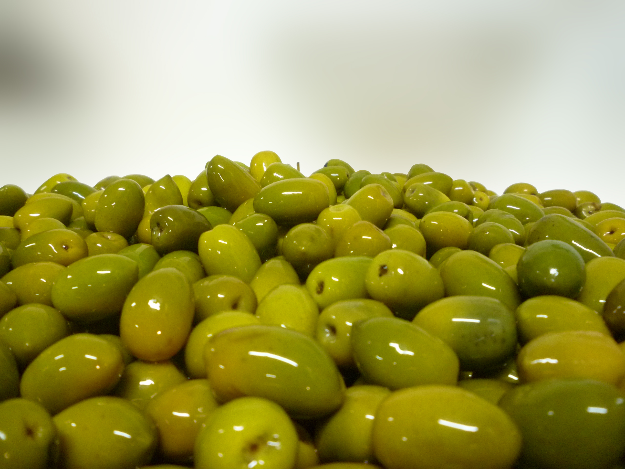 Aceitunas Por Mayor | Chile | Aceitunas GM