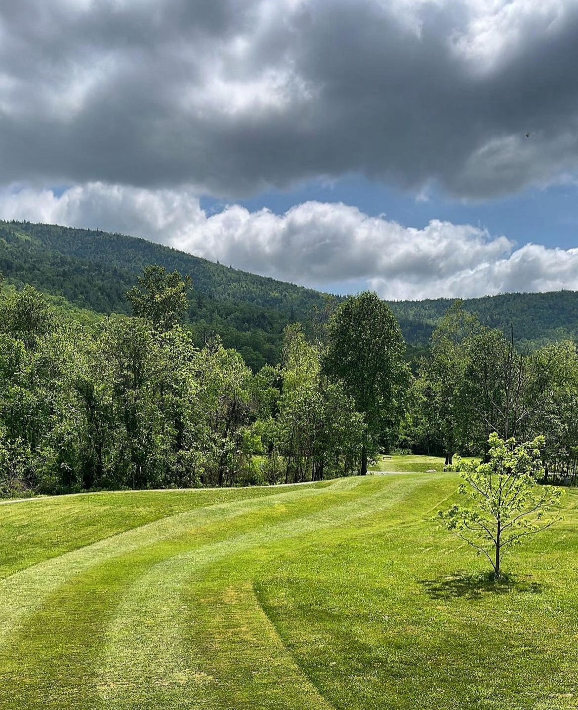 North Cove Leisure Club | disc golf | 210 Blue Ridge Drive North ...