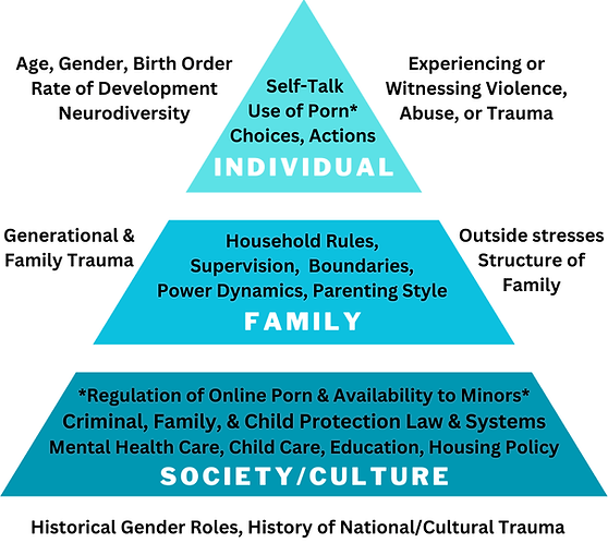 Why does sibling sexual abuse happen? | Sibling Sexual Trauma