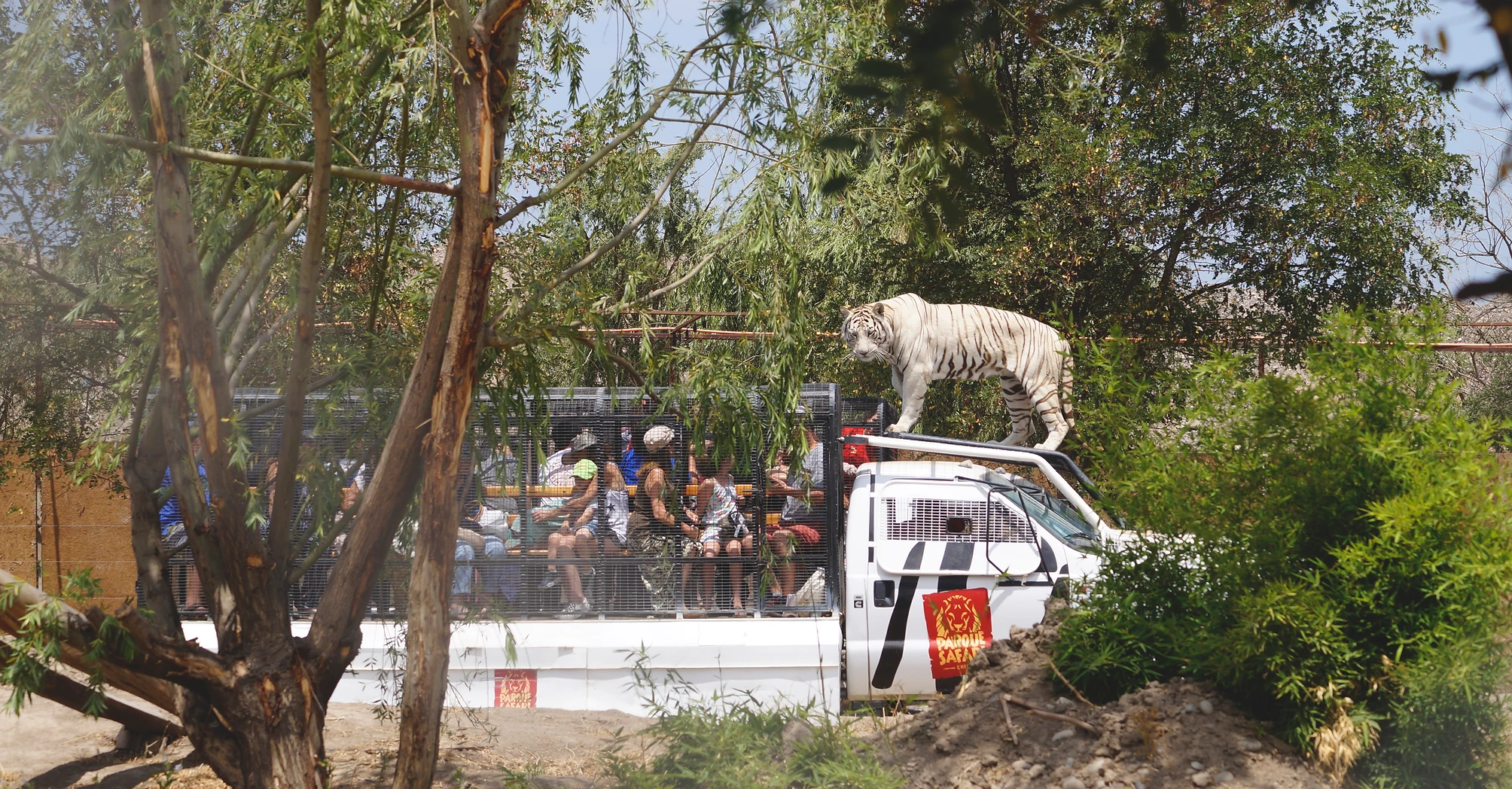 PARQUE SAFARI RANCAGUA | Dreams Come Tour