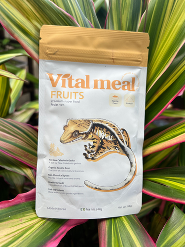 Vital Meal Fruits 50g | mysite