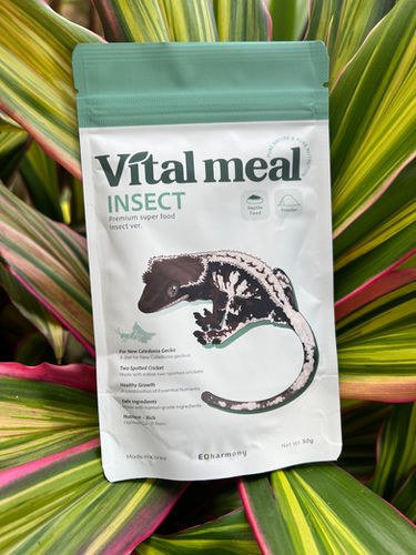 Vital Meal Insect 50g | mysite