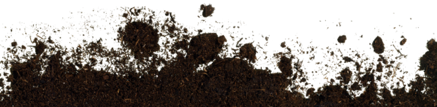 HOME | Elixir Aftercare