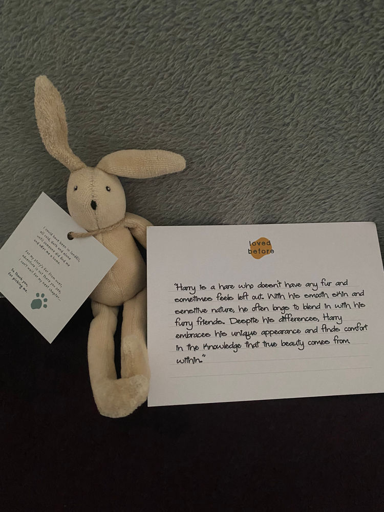 Harry the Hare 🐇 | Loved Before