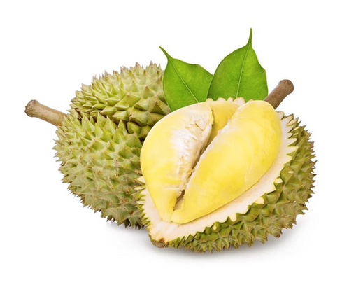 Vietnam Durian | Exporting Durian Company | Vagrofood.com