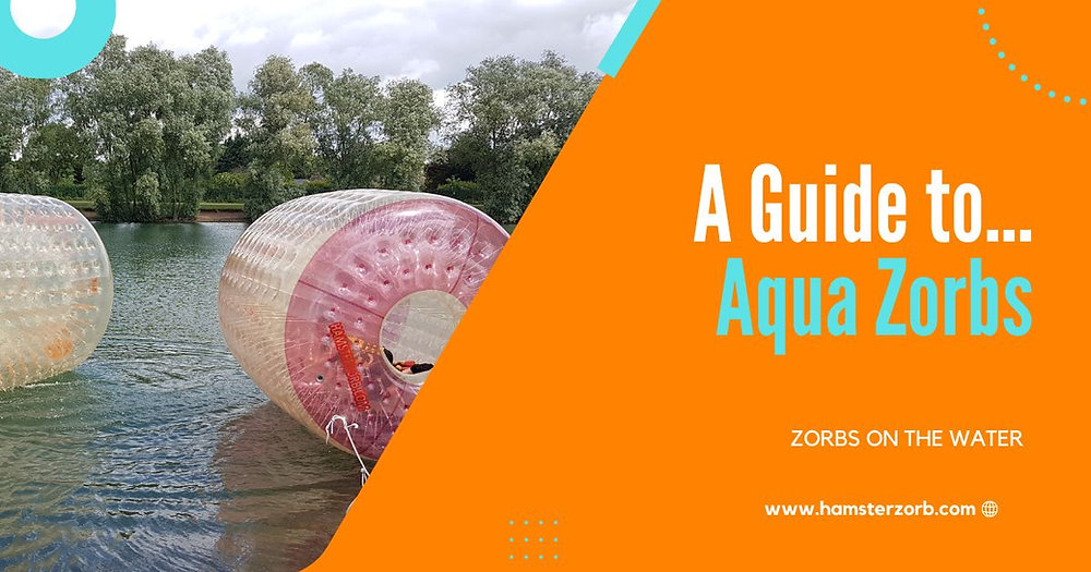 Hamster Zorb Blog A Guide To Aqua Zorbs
