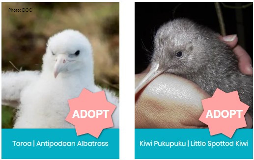 Help Cute Chicks | Endangered Species Foundation | Adopt