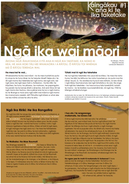 Ngā Ika Taketake 🐟 Native Freshwater Fish Factsheets in Te Reo Māori