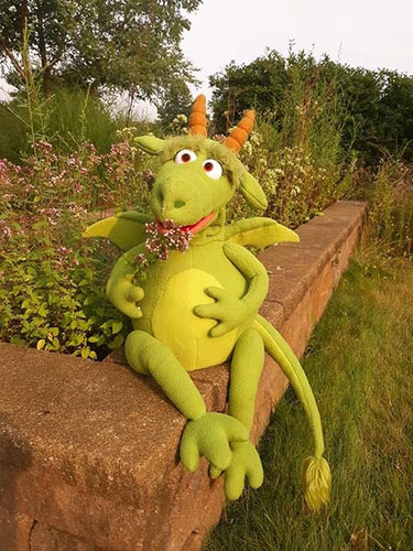 Children 12 & Under | Great Lakes Potlatch