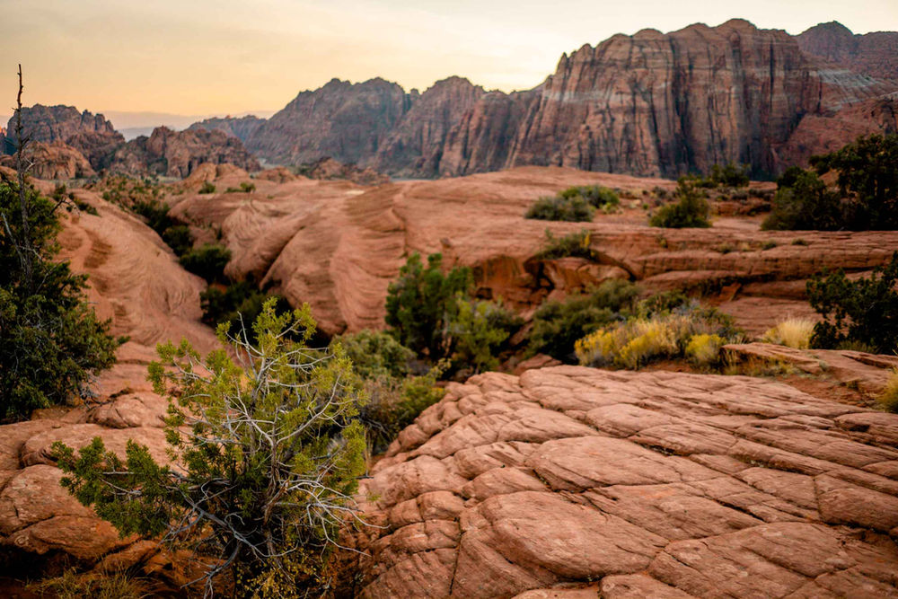 The Ultimate Guide to Visiting Snow Canyon State Park near St George, UT