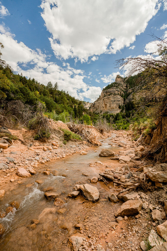 Hiking Ashdown Gorge - Cedar Canyon, Southern Utah