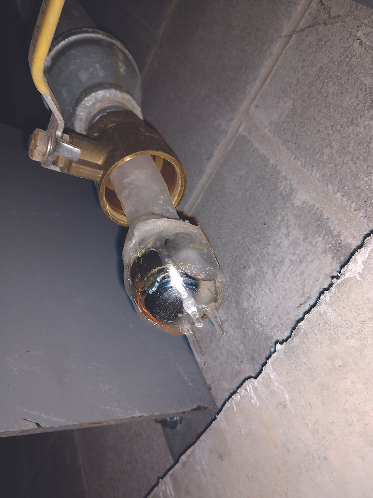 Freeze Protection of Fire Sprinkler Systems