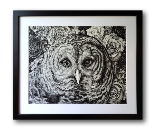 'Hoot Owl' Original Drawing, 16" x 20" | Shelby Elizabeth Art